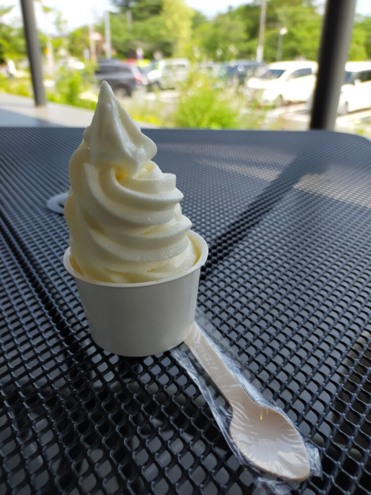 Il fait chaud ... Passez une journée à Hannô ! - Vivre à Tokyo